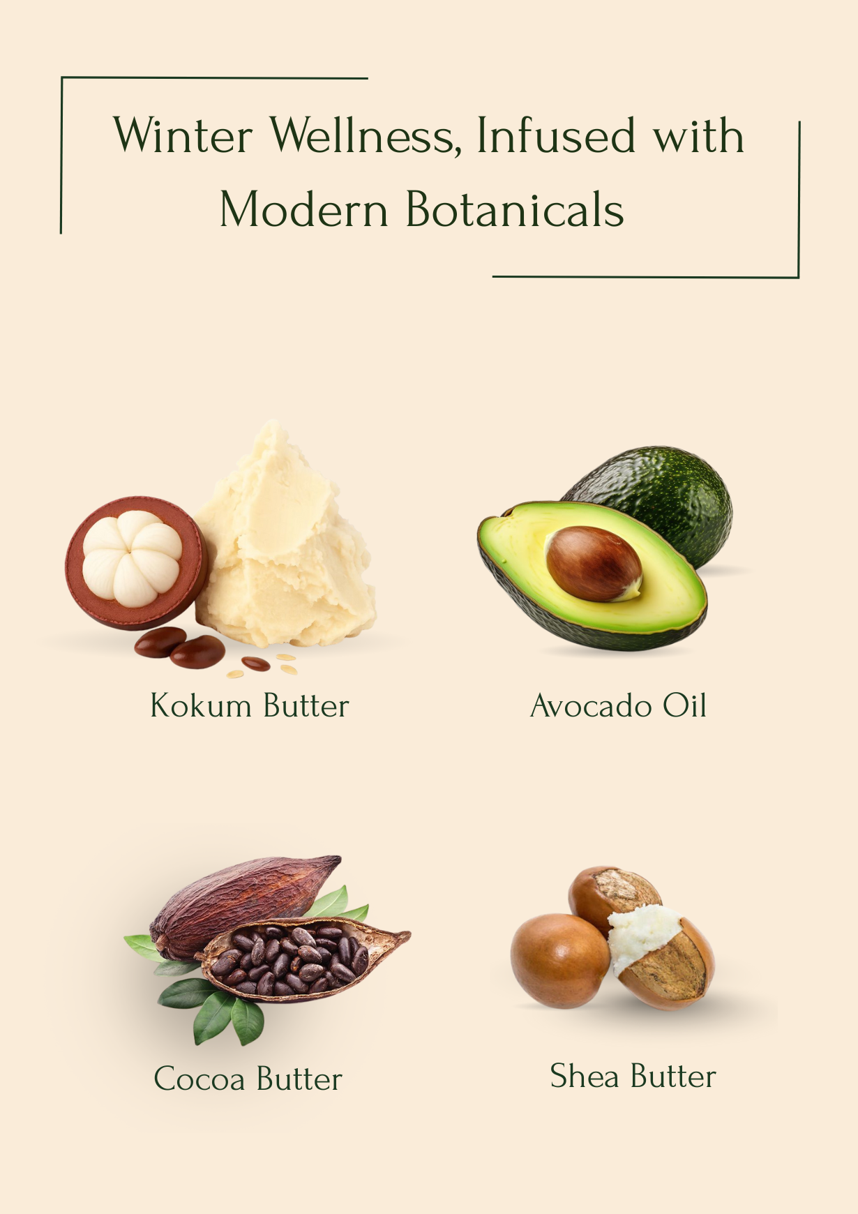 Winter Wellness, Infused with Modern Botanicals